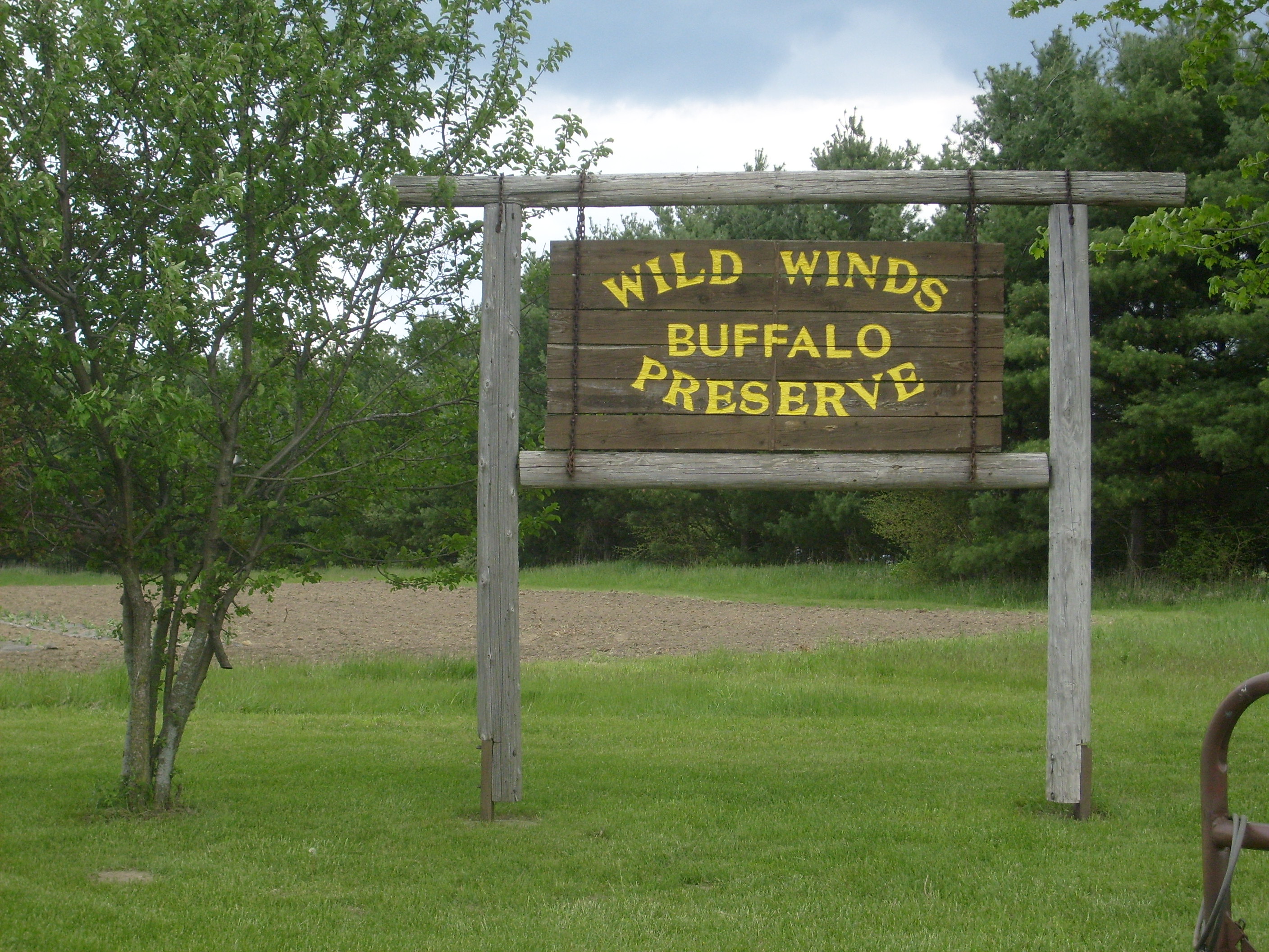 Indiana Photo Gallery – Wild Winds Buffalo Preserve – Mossy Feet Books ...