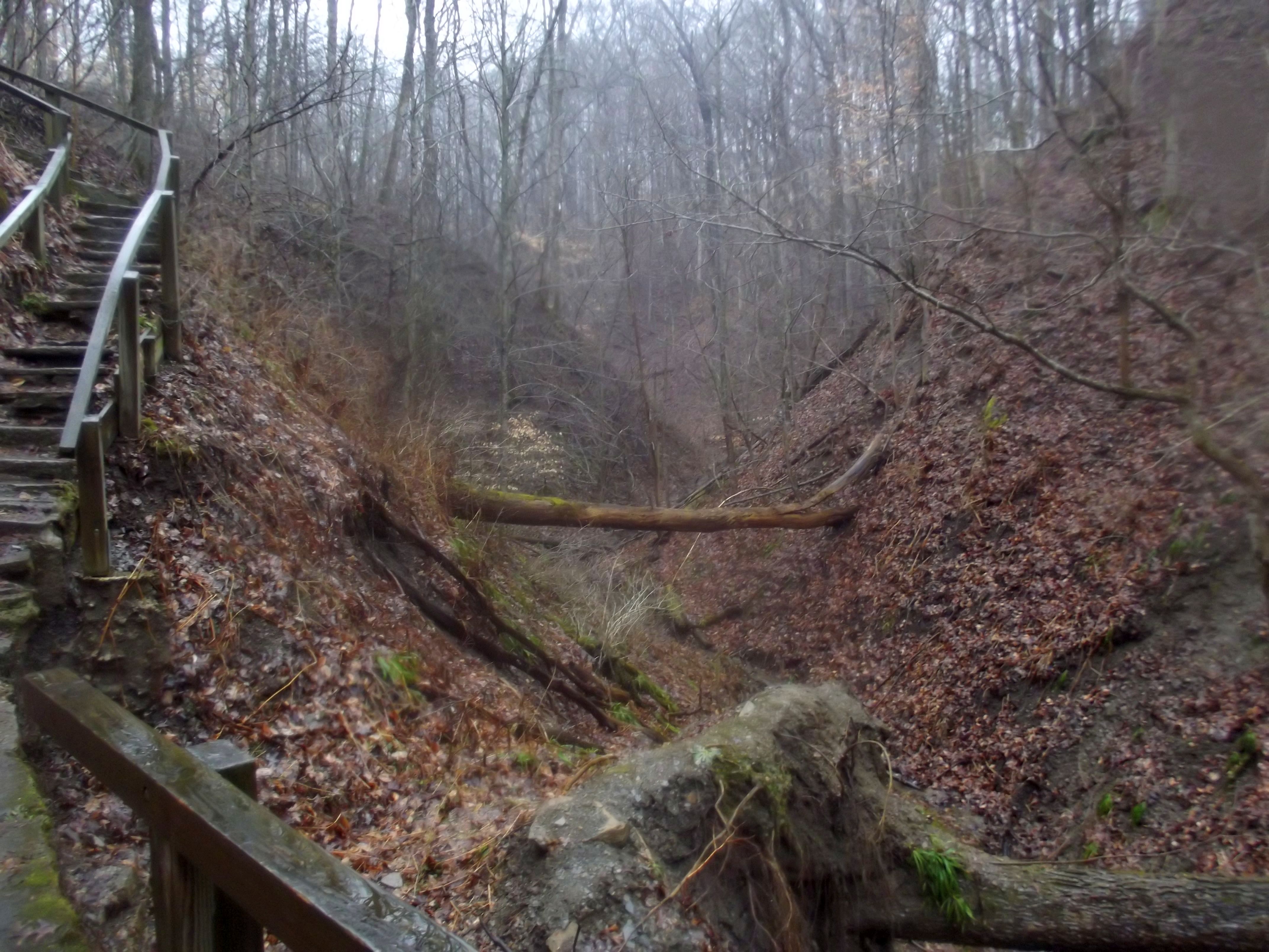 Indiana Photo Gallery – Turkey Run State Park – Trail 3 – Mossy Feet Books