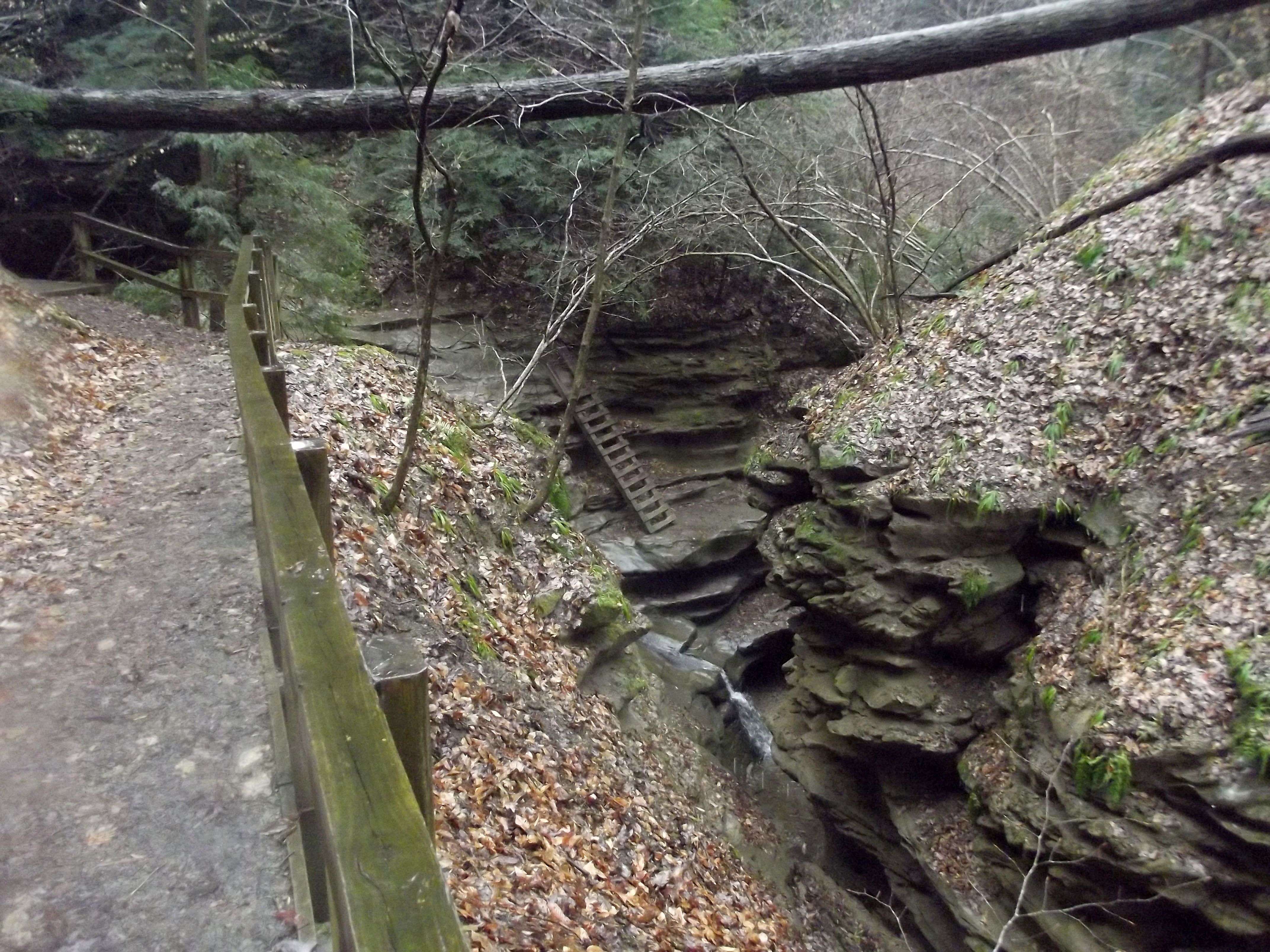 Indiana Photo Gallery – Turkey Run State Park – Trail 3 – Mossy Feet Books
