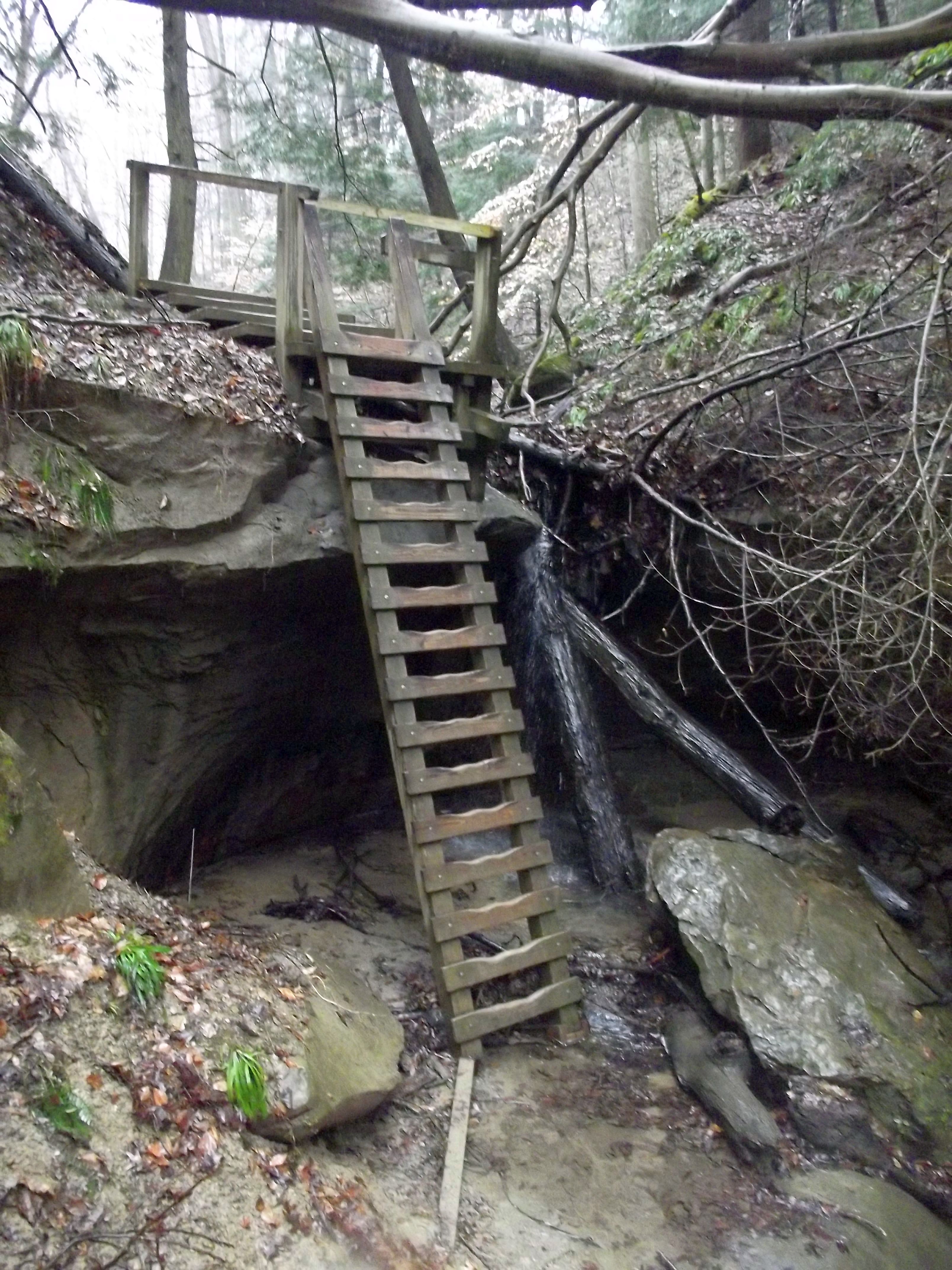 Indiana Photo Gallery – Turkey Run State Park – Trail 3 – Mossy Feet Books