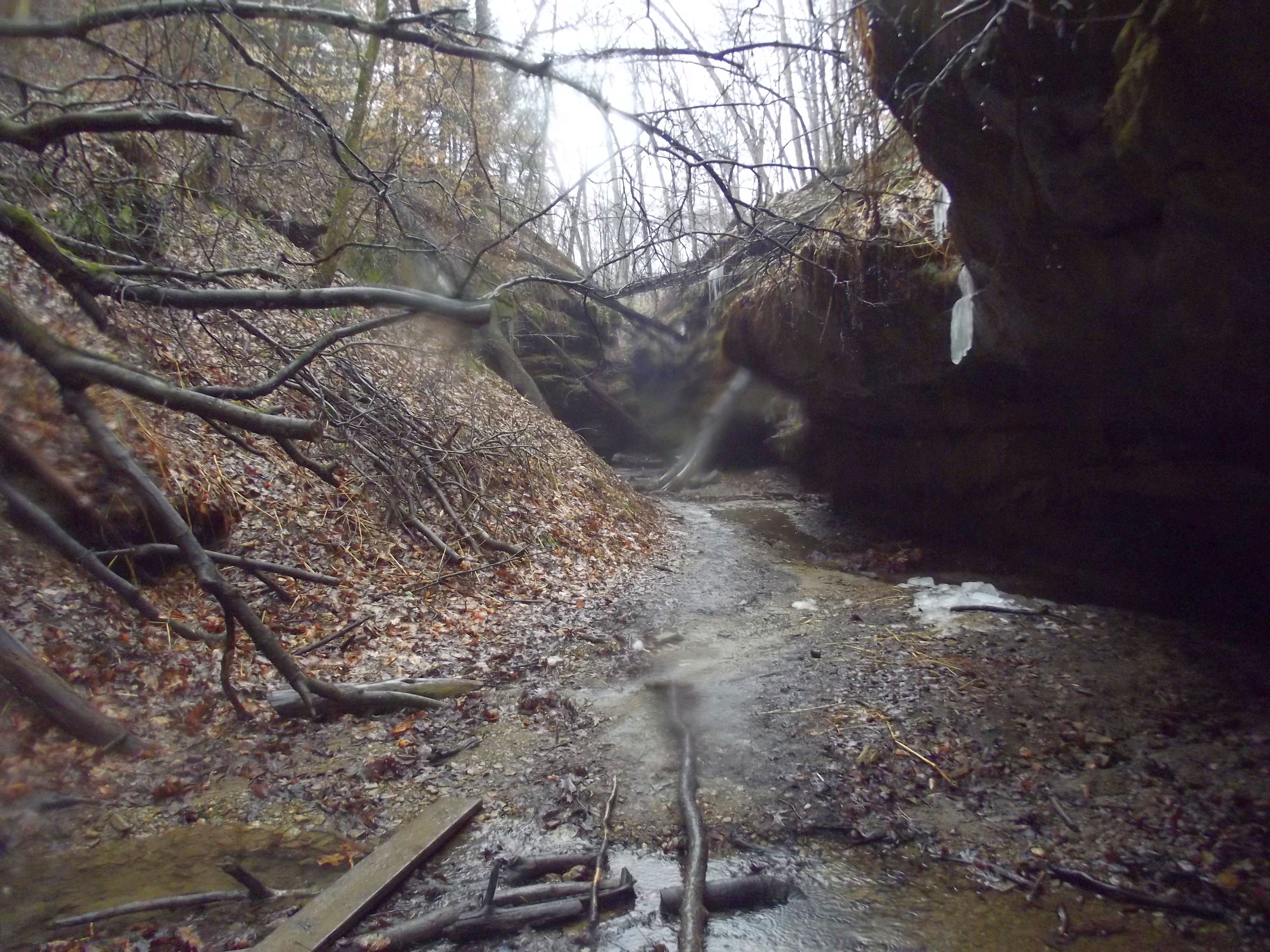 Indiana Photo Gallery – Turkey Run State Park – Trail 3 – Mossy Feet Books