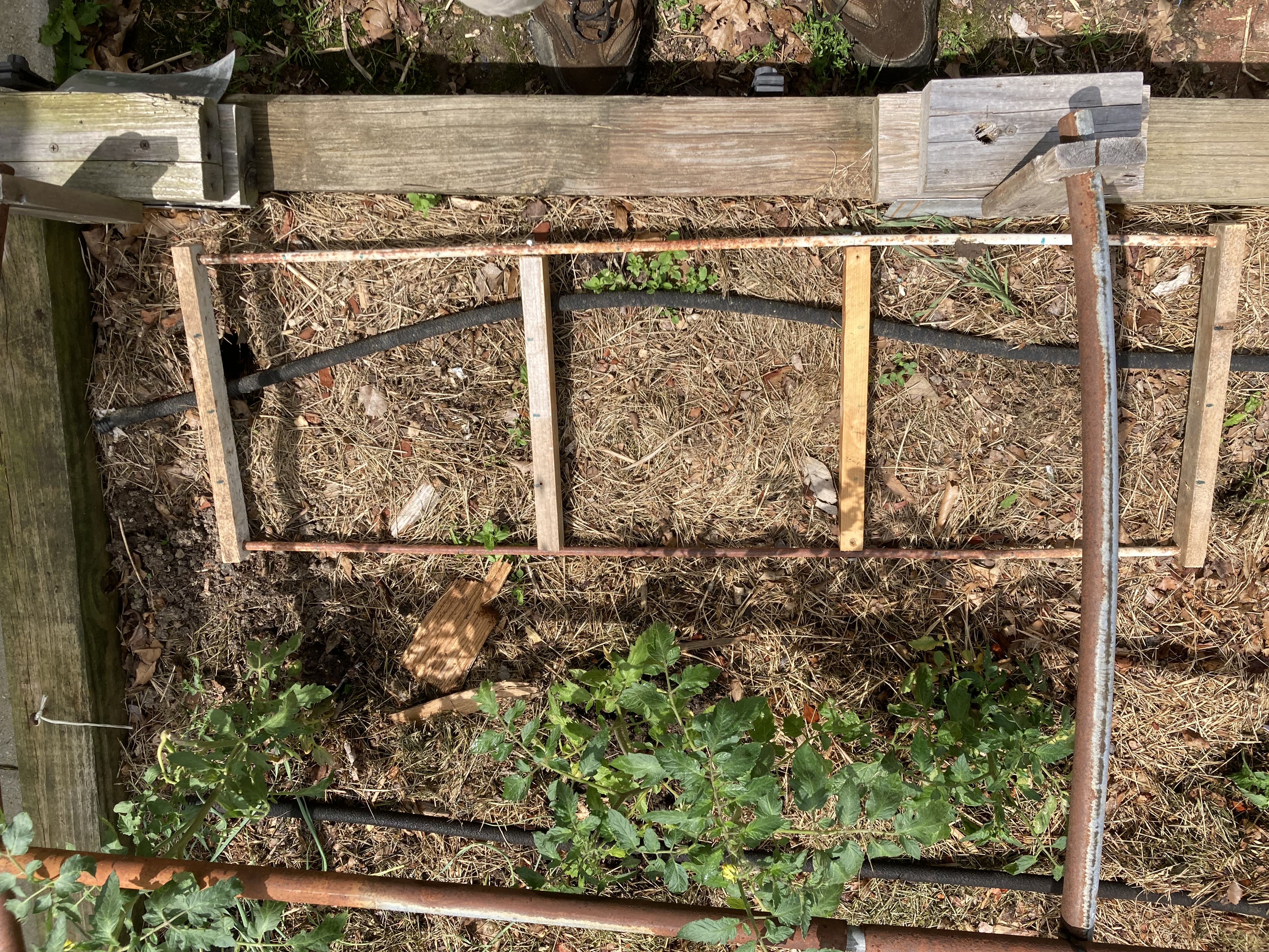 Square Foot Gardening – Mossy Feet Books – Author Paul R. Wonning