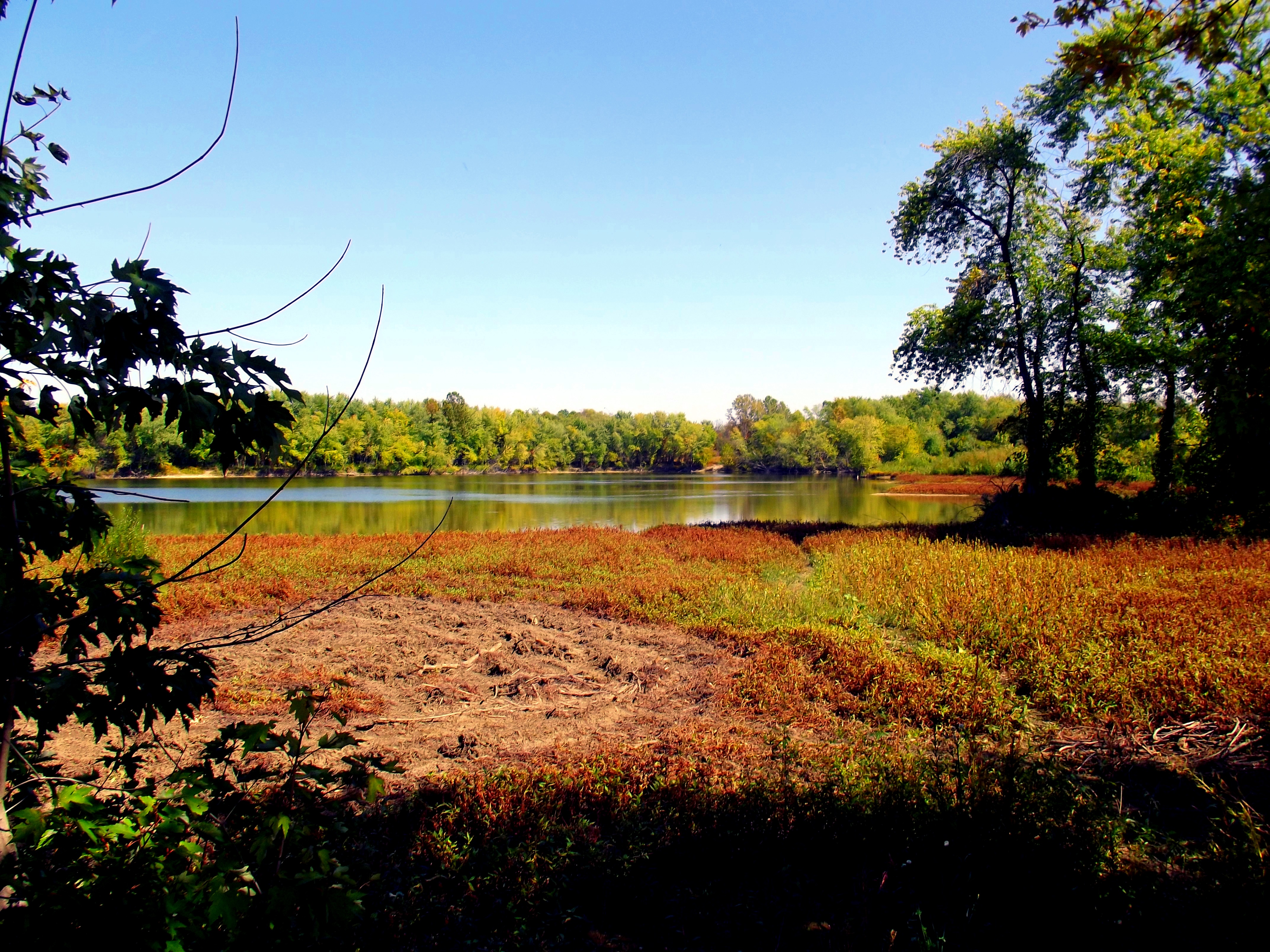 Indiana Photo Gallery – The Oxbow at Lawrenceburg – Mossy Feet Books ...