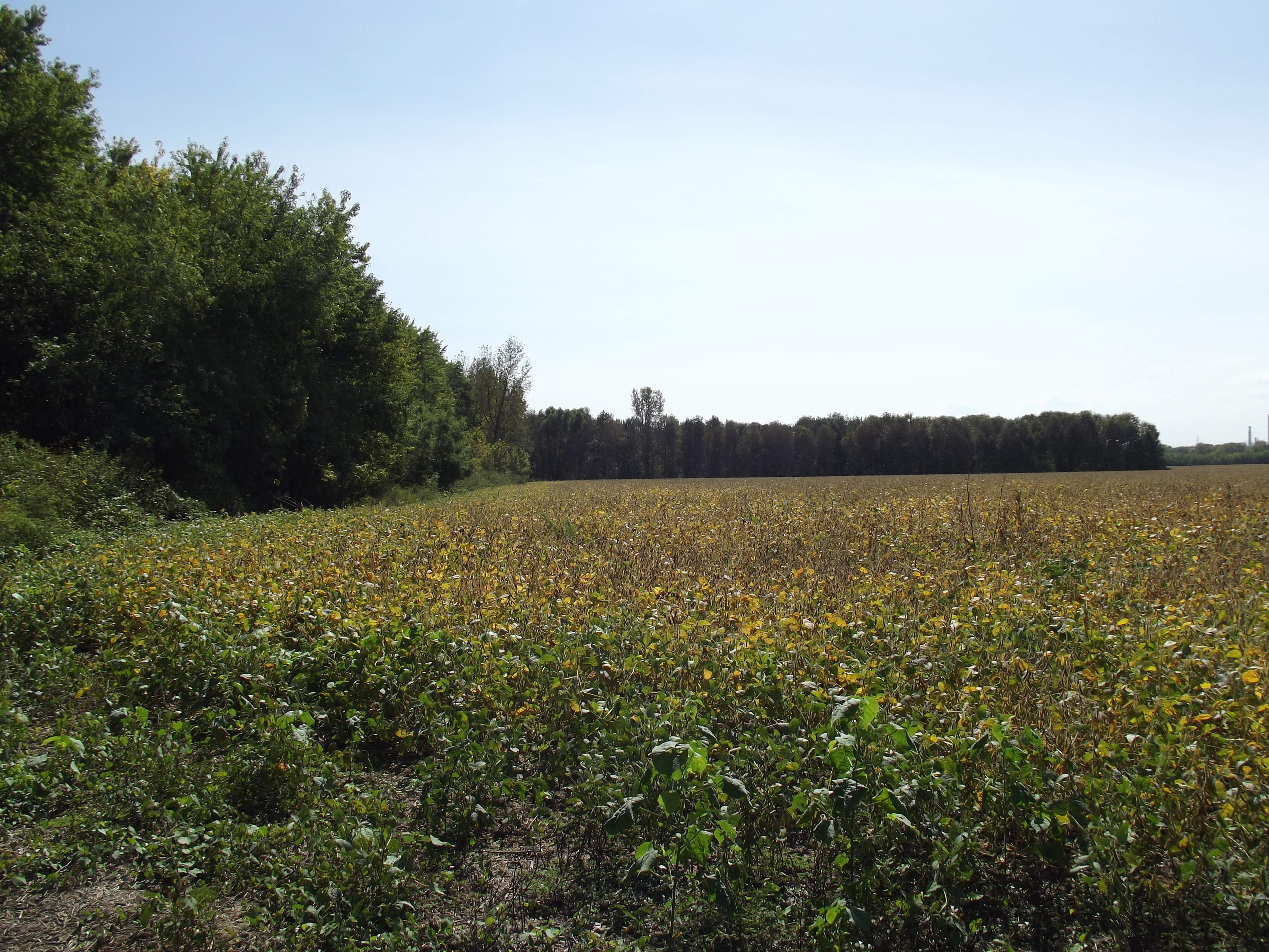 Indiana Photo Gallery – The Oxbow at Lawrenceburg – Mossy Feet Books ...