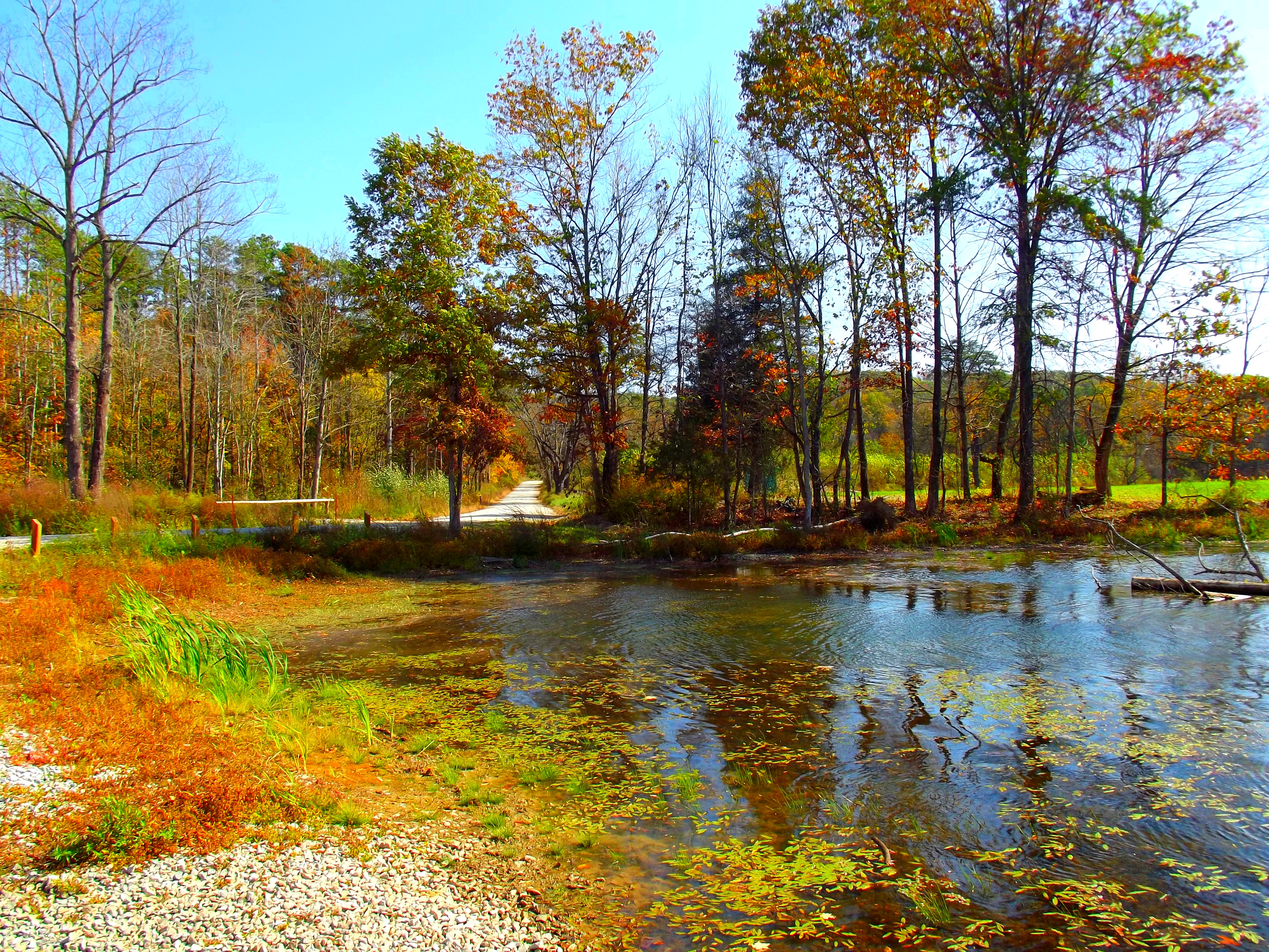 Indiana Photo Album – Yellowwood State Forest – Mossy Feet Books ...