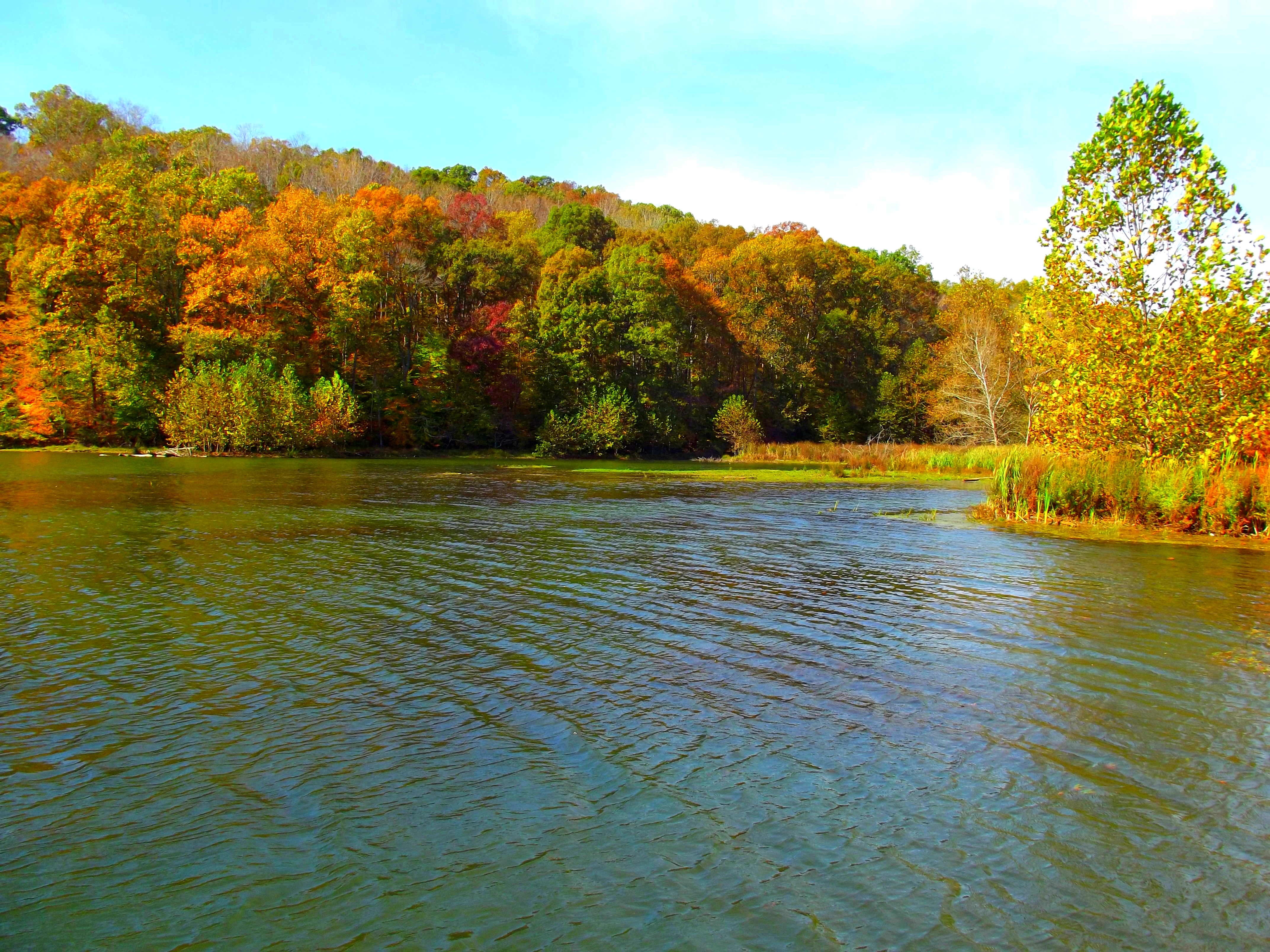 Indiana Photo Album – Yellowwood State Forest – Mossy Feet Books ...
